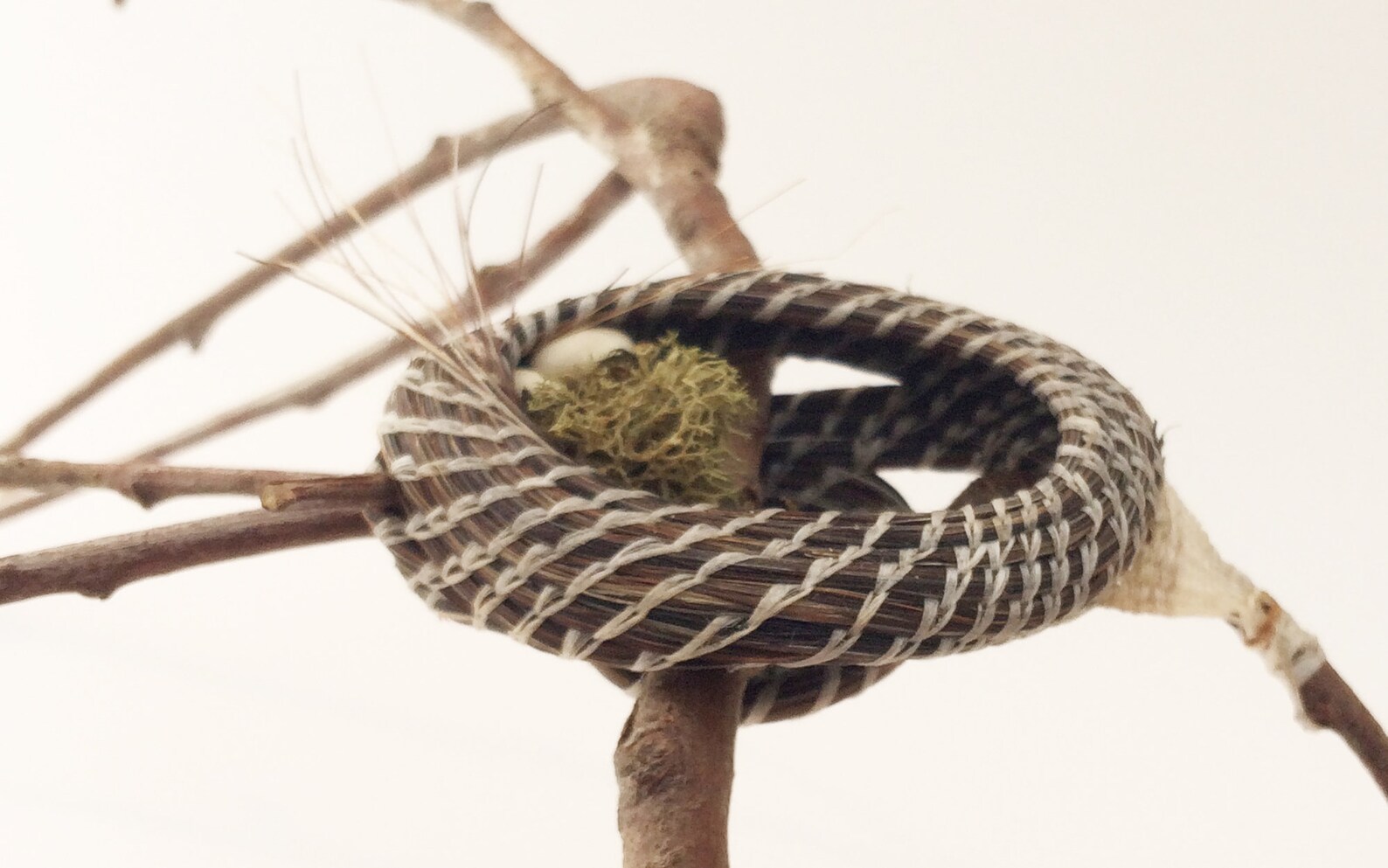 Horsehair Basketry Kit, Hummingbird Nest, How-to, Coiling With ...
