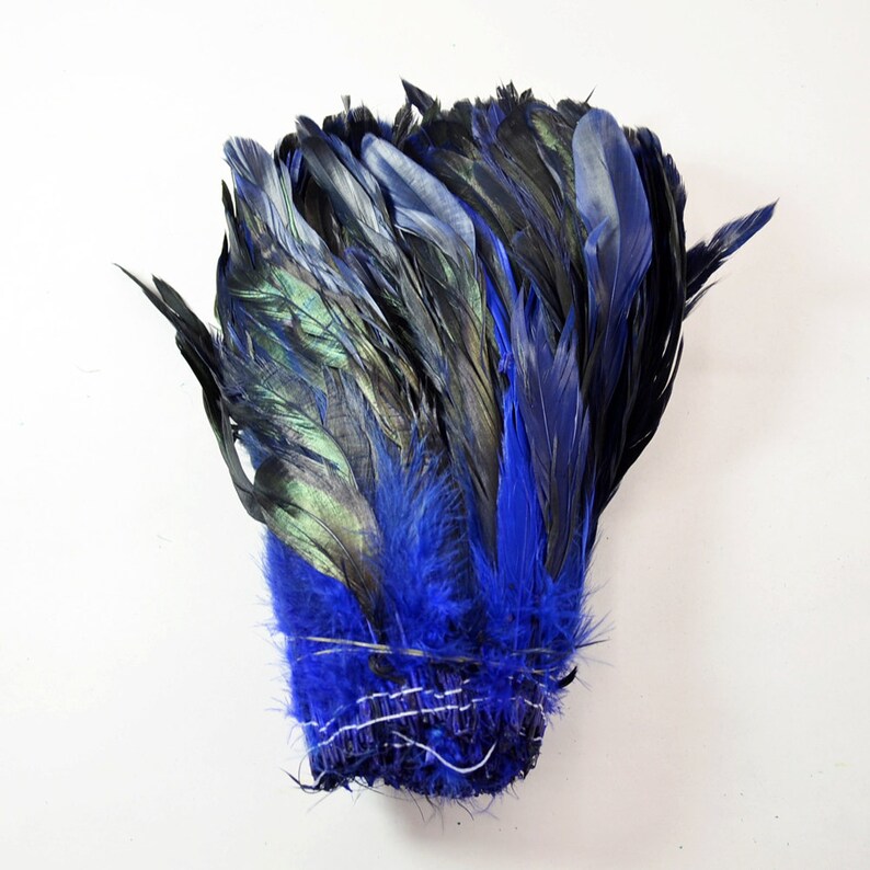 25-30pcs Rooster Tail Feathers-royal Blue 6-8 Tall - Etsy