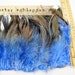 BLUE Half Bronze - Rooster Schlappen, Naturally Dyed, Unbleached, 5-7 ...