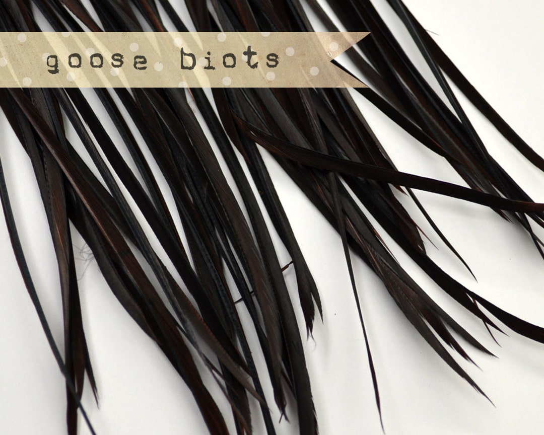 20 Pcs - Goose Biots Feathers, Ebony Brown, Loose, Can Be Curled ...
