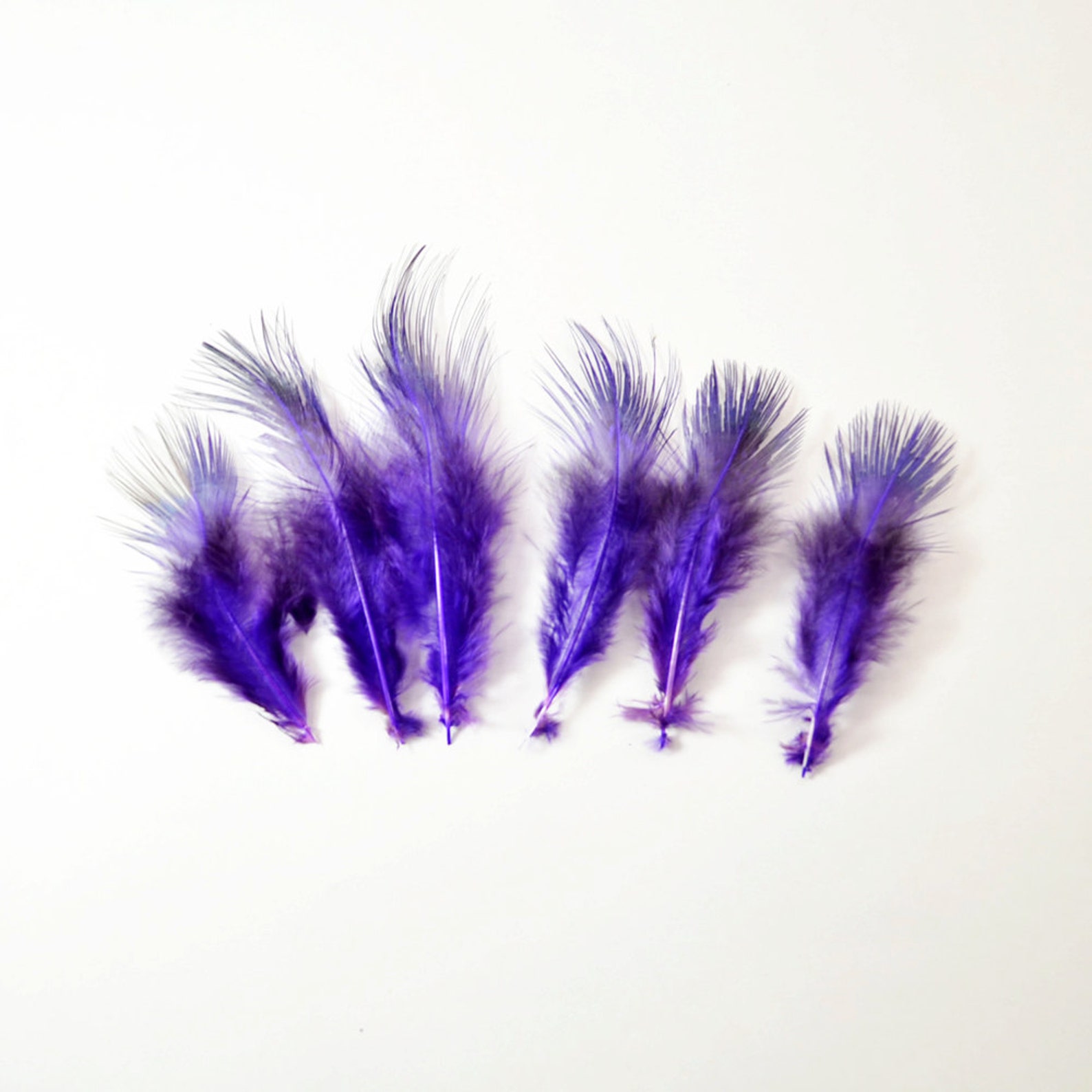 Ringneck Pheasant Strung Feathers Rump Hackle Dyed Purple | Etsy