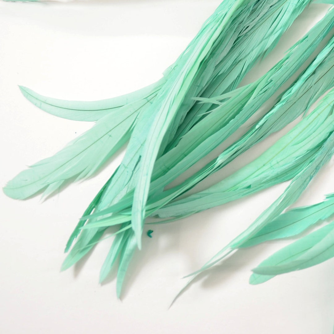 Magnifica Rooster Tail Feathers - Mermaid Green 10 Pcs - Etsy