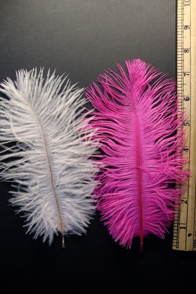 6 Hot Pink and Baby Pink Ostrich Feathers. 7 Inches Tall. - Etsy