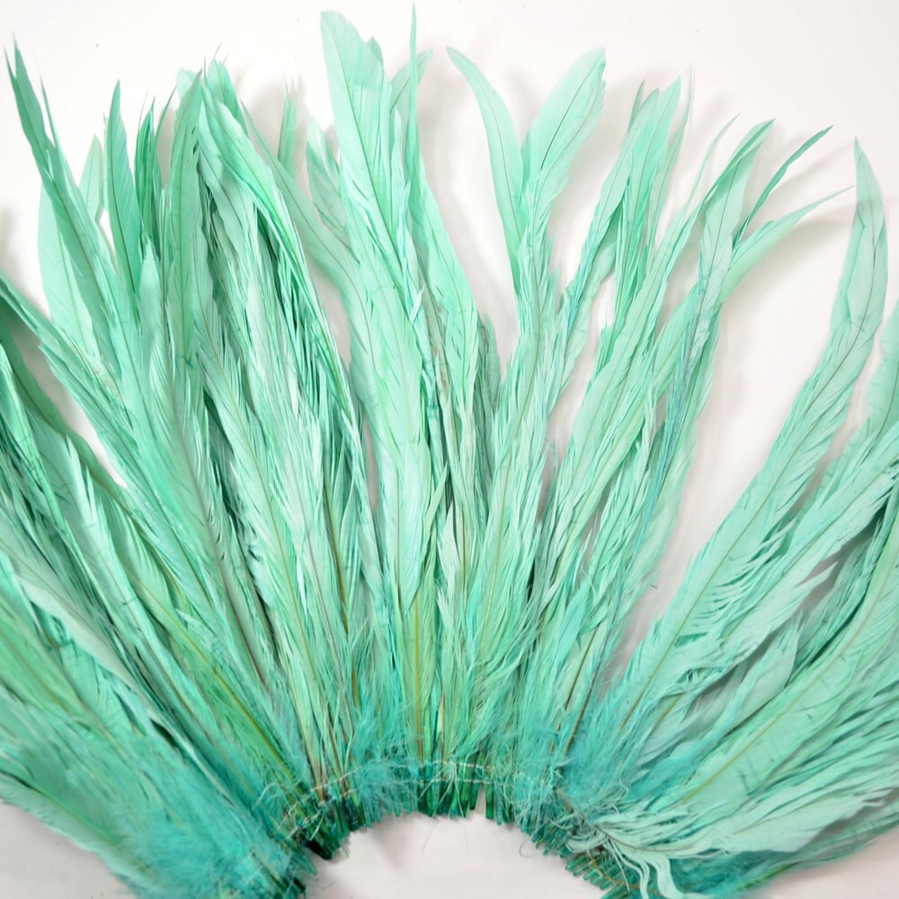 Magnifica Rooster Tail Feathers - Mermaid Green 10 Pcs - Etsy