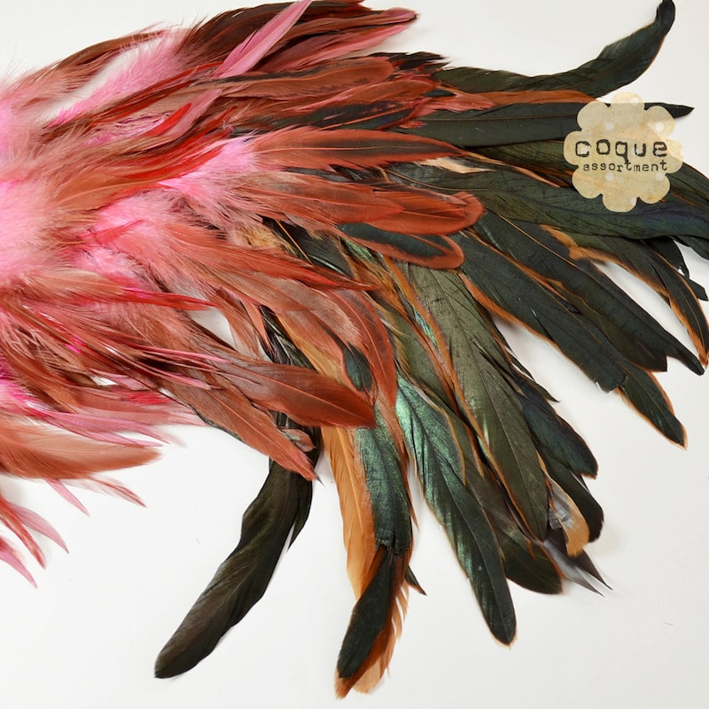 Rooster Feather - Etsy