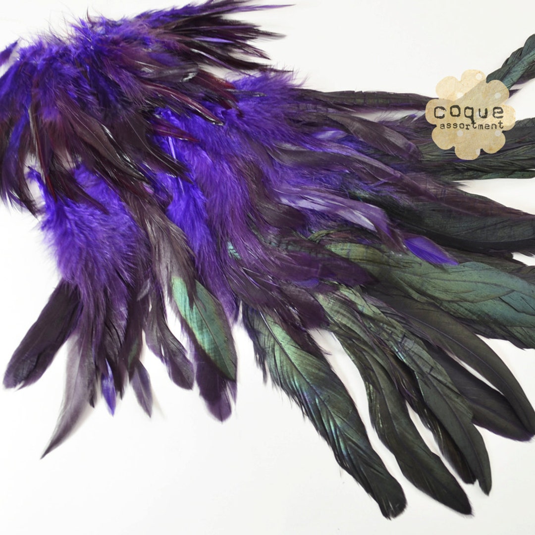 120pcs+- Rooster Coque Feathers Assortment, Sadle, Schlappen, and Tail ...