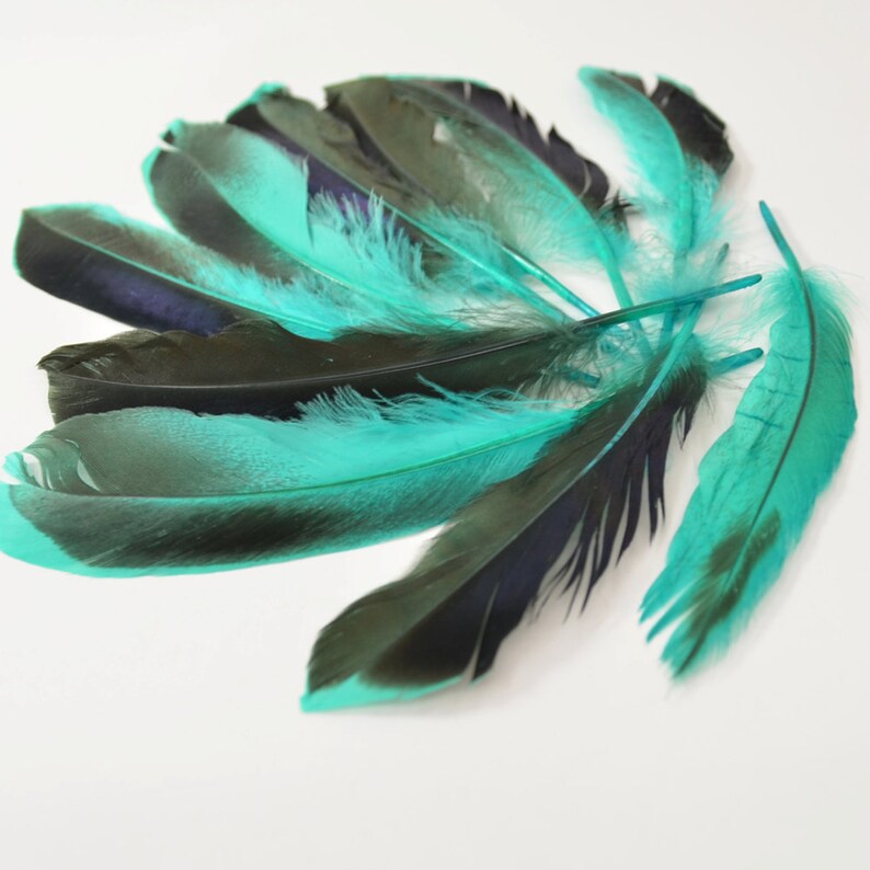 Mallard Feathers Iridescent Green Wing Teal 10pcs : M09 - Etsy