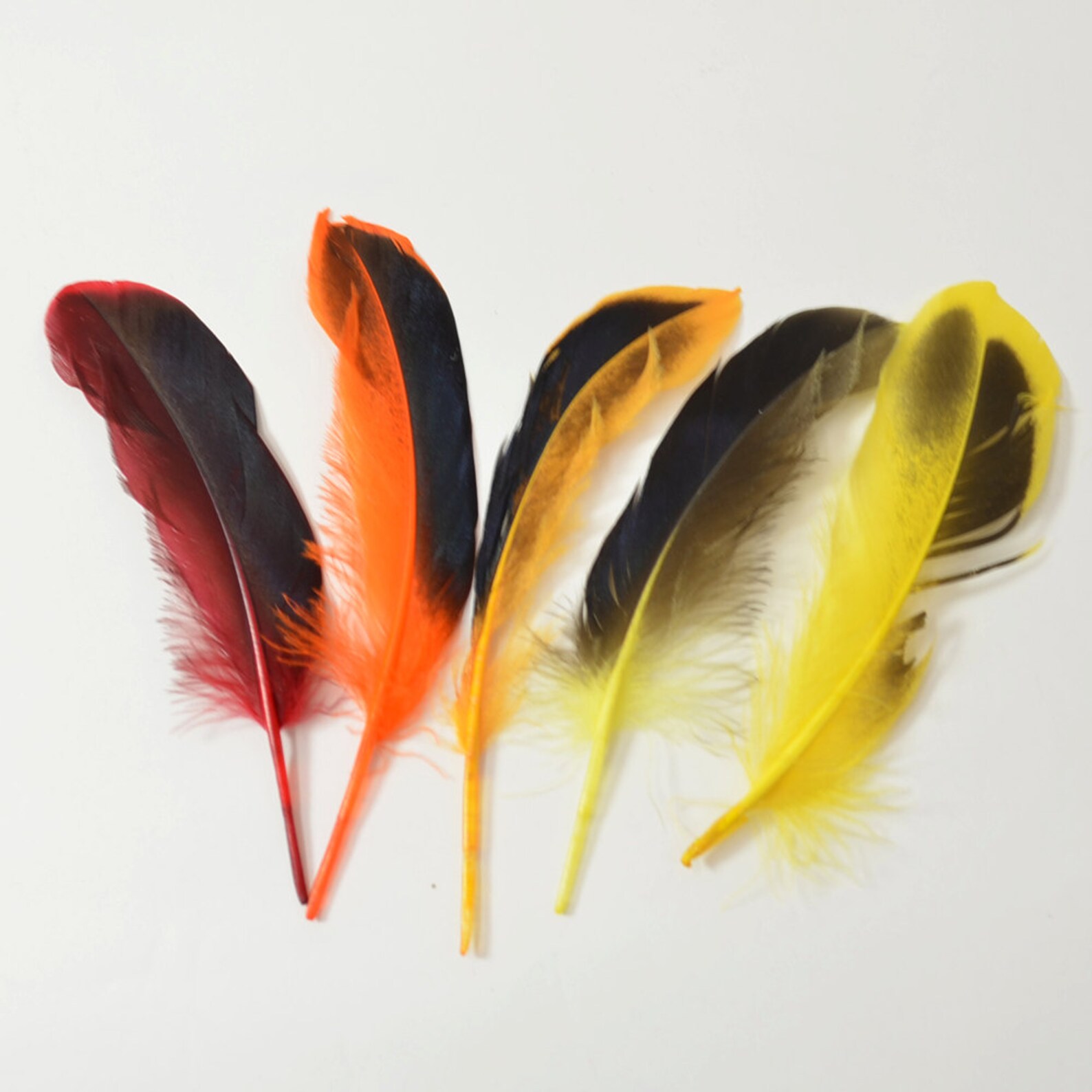 Mallard Feathers, Iridescent Green Wing - Fire Mix (40pcs) : MMIX002 #1 ...