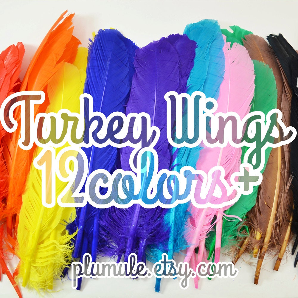 6pcs "eagle" Turkey Wing Feathers Both Right and Left Wing, BLACK ...
