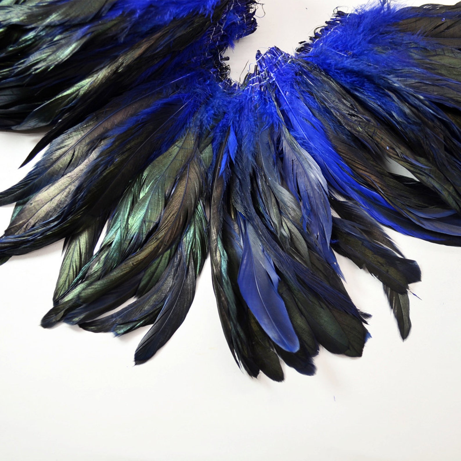 25-30pcs Rooster Tail Feathers-royal Blue 6-8 Tall - Etsy