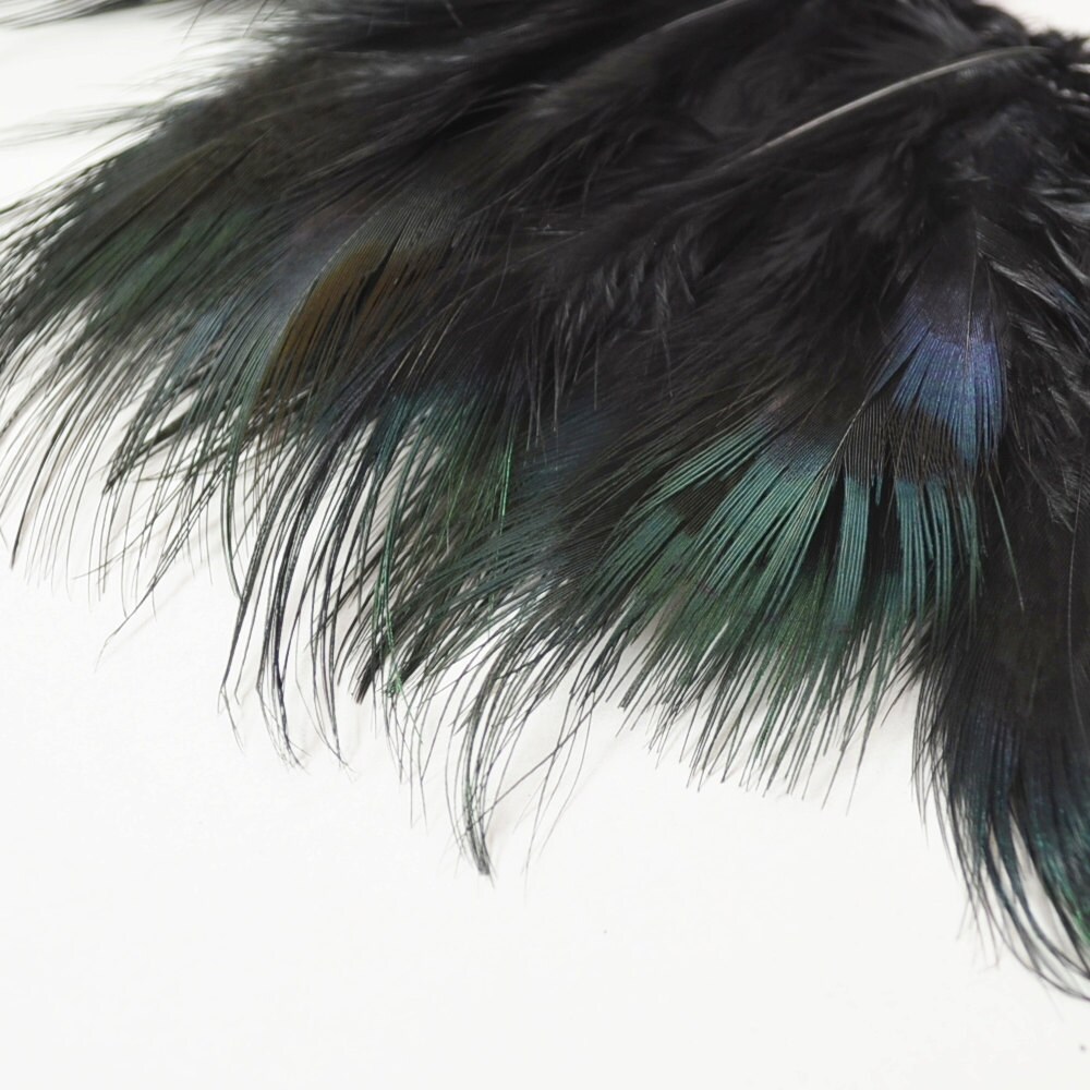 40-50 Pcs Rump Hackle Dyed Black Ringneck Pheasant - Etsy