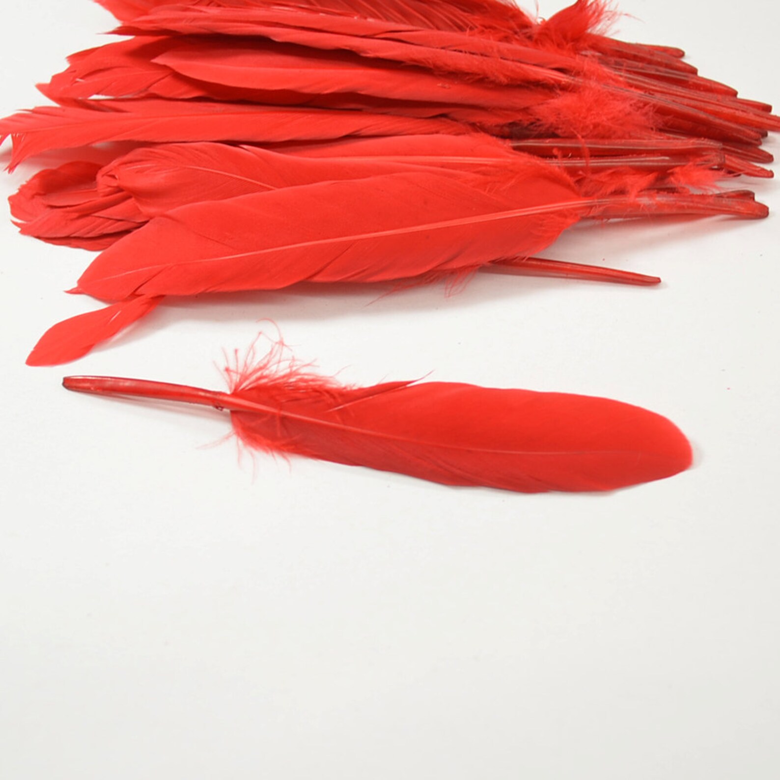 Middling Duck Quills, Stiff Loose Feathers - Red (20pcs) - Etsy