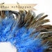 BLUE Half Bronze - Rooster Schlappen, Naturally Dyed, Unbleached, 5-7 ...