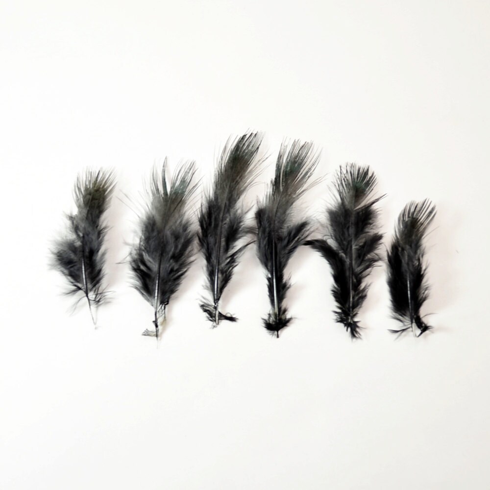 40-50 Pcs Rump Hackle Dyed Black Ringneck Pheasant - Etsy