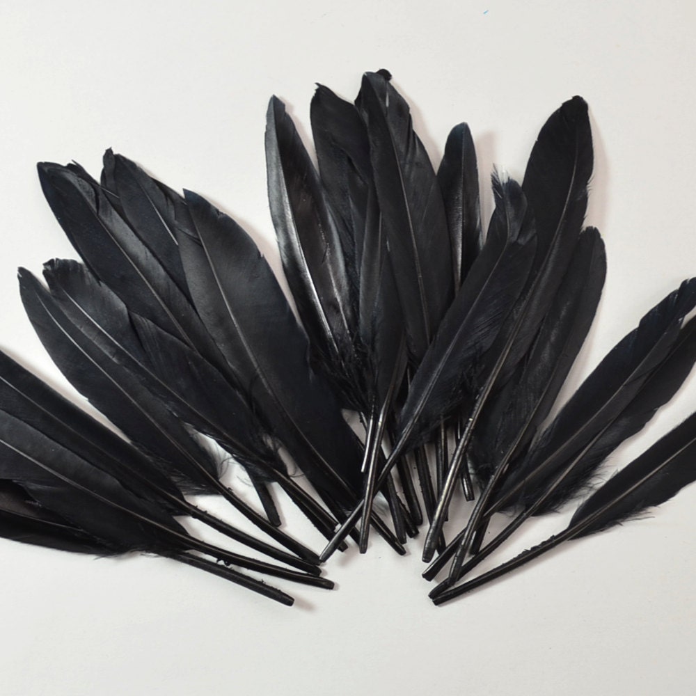 24pcs Small Duck Quills Stiff Loose Feathers-black | Etsy