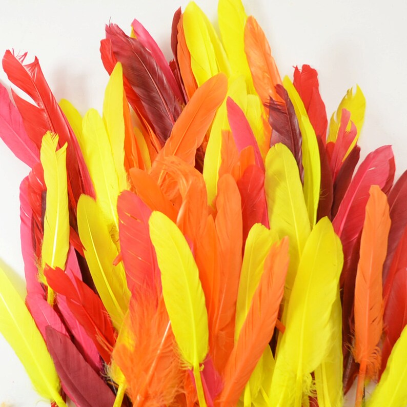 Middling Duck Quills Stiff Loose Feathers Amazon Rainforest - Etsy