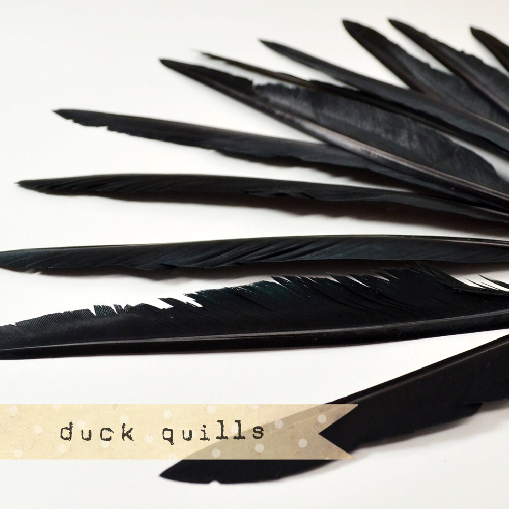 10pcs Large Duck Quills Black Stiff Loose Feathers - Etsy Canada