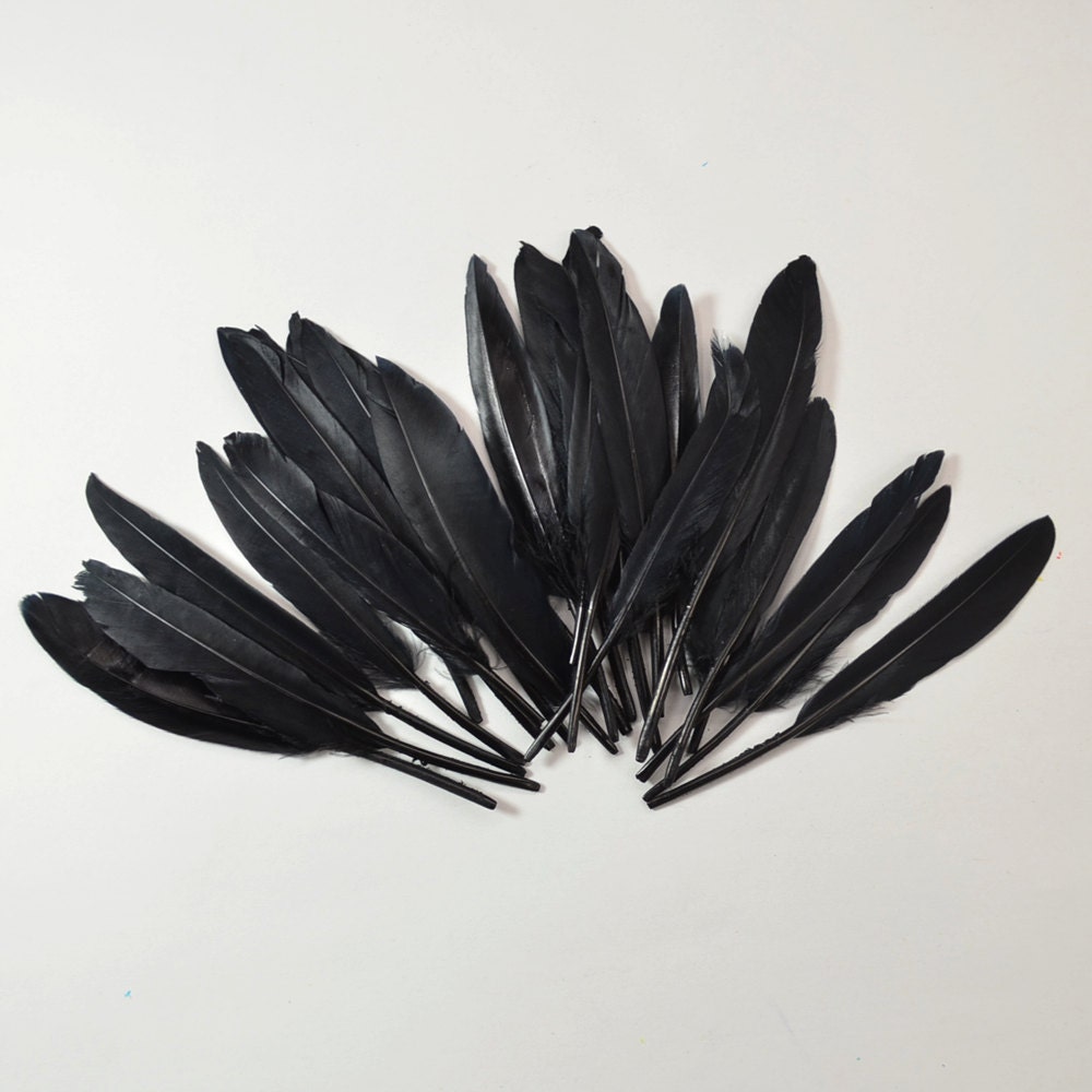 24pcs Small Duck Quills Stiff Loose Feathers-black | Etsy