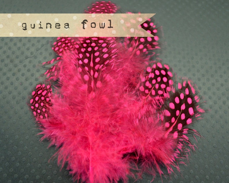 2 Dozen - CARMINE PINK Guinea Fowl Plumages, Millinery and Craft ...