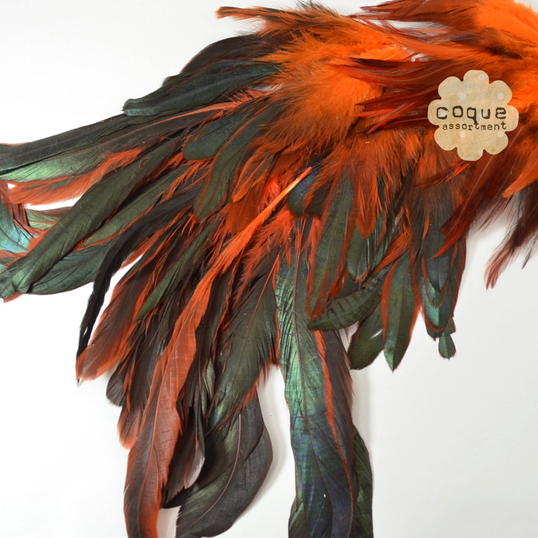 120pcs+- Rooster Coque Feathers Assortment, Sadle, Schlappen, and Tail ...