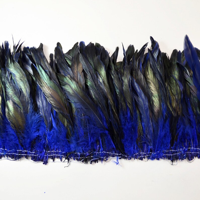 25-30pcs Rooster Tail Feathers-Royal Blue 6-8 tall | Etsy