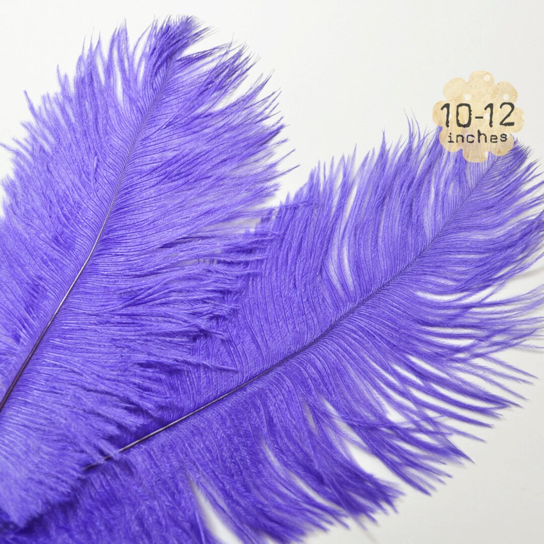 10 Pcs - PURPLE - 10-12" Inch - Ostrich Feather Plumes - Dyed Drabs ...