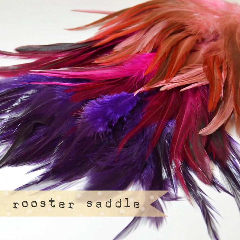 180 Pcs Rooster Saddle Feathers 2 Inch Strip Two-tone - Etsy