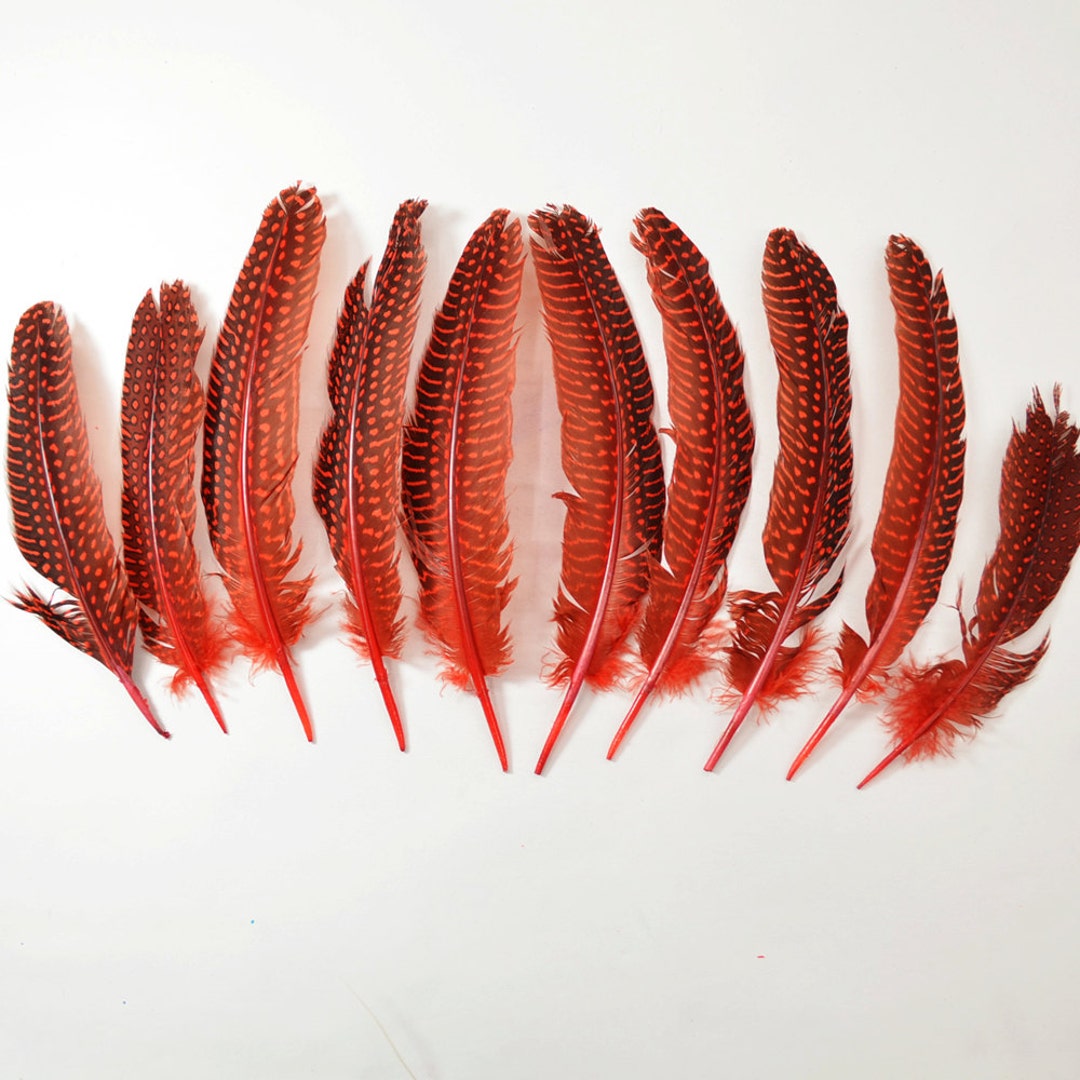 10pcs Guinea Fowl Quill Feathers, Polkadot Feathers- Red - Etsy