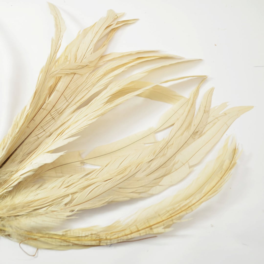 Magnifica Rooster Tail Feathers - Handpicked, Sand (10pcs) - Etsy