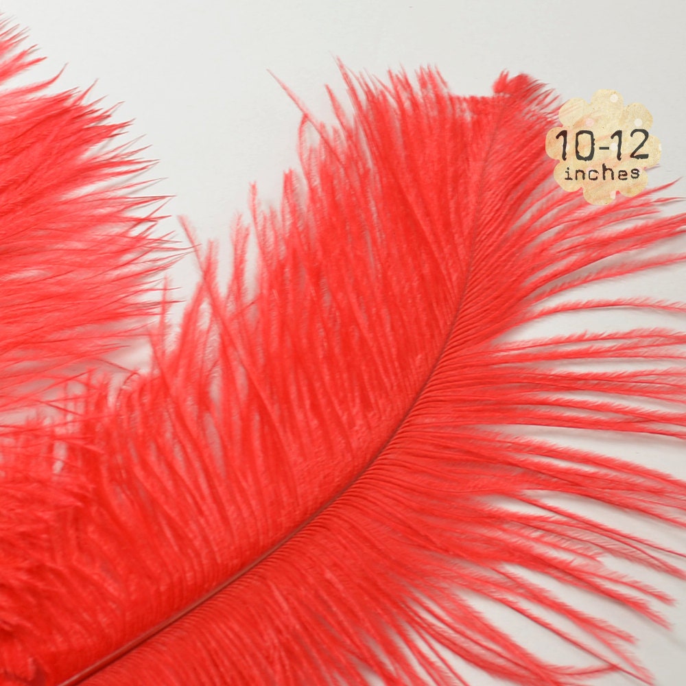 10 Pcs - RED - 10-12" Inch - Ostrich Feather Plumes - Dyed Drabs ...