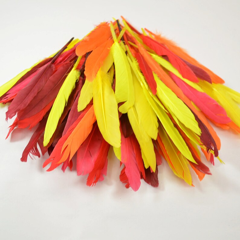 Middling Duck Quills Stiff Loose Feathers Amazon Rainforest - Etsy