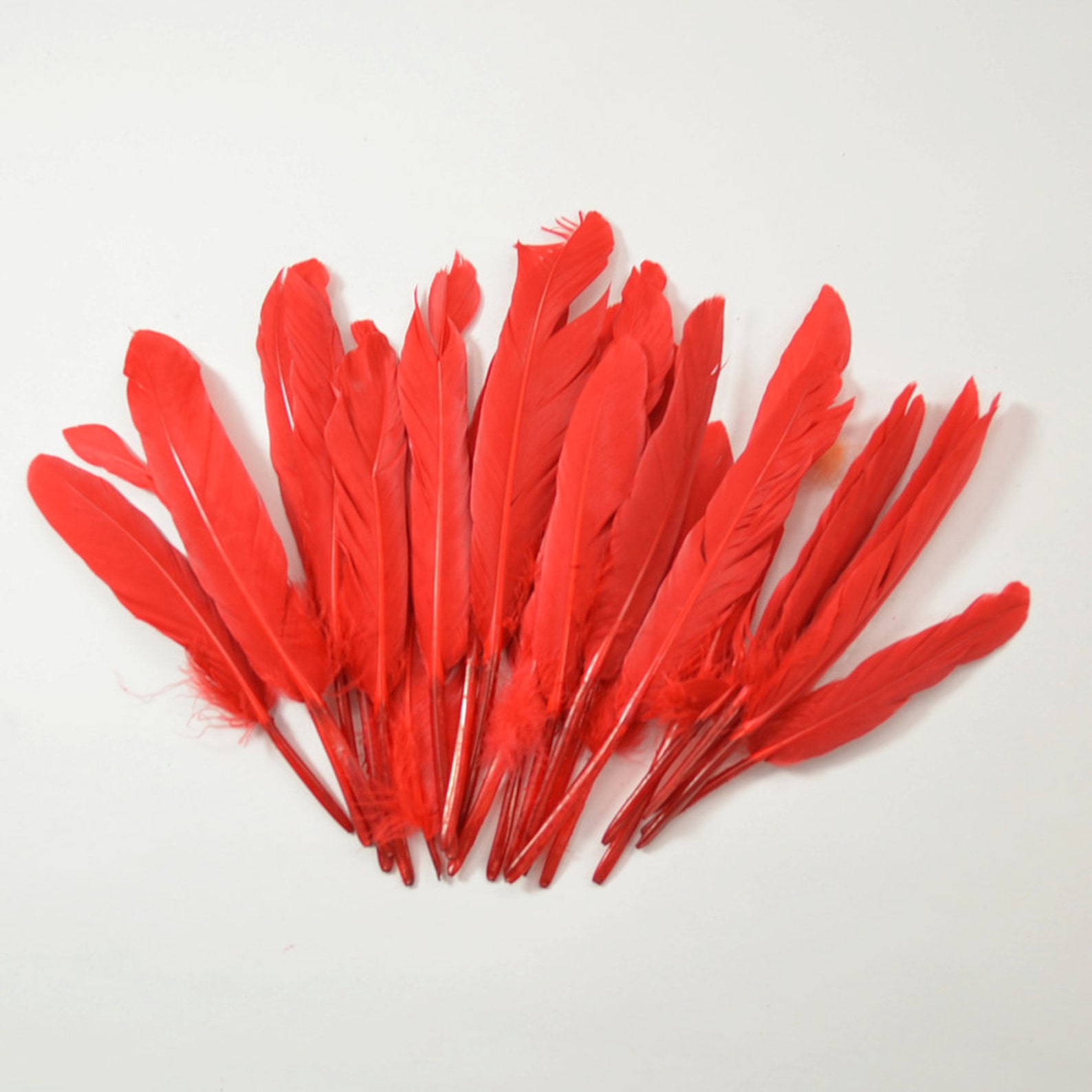 Middling Duck Quills, Stiff Loose Feathers - Red (20pcs) - Etsy