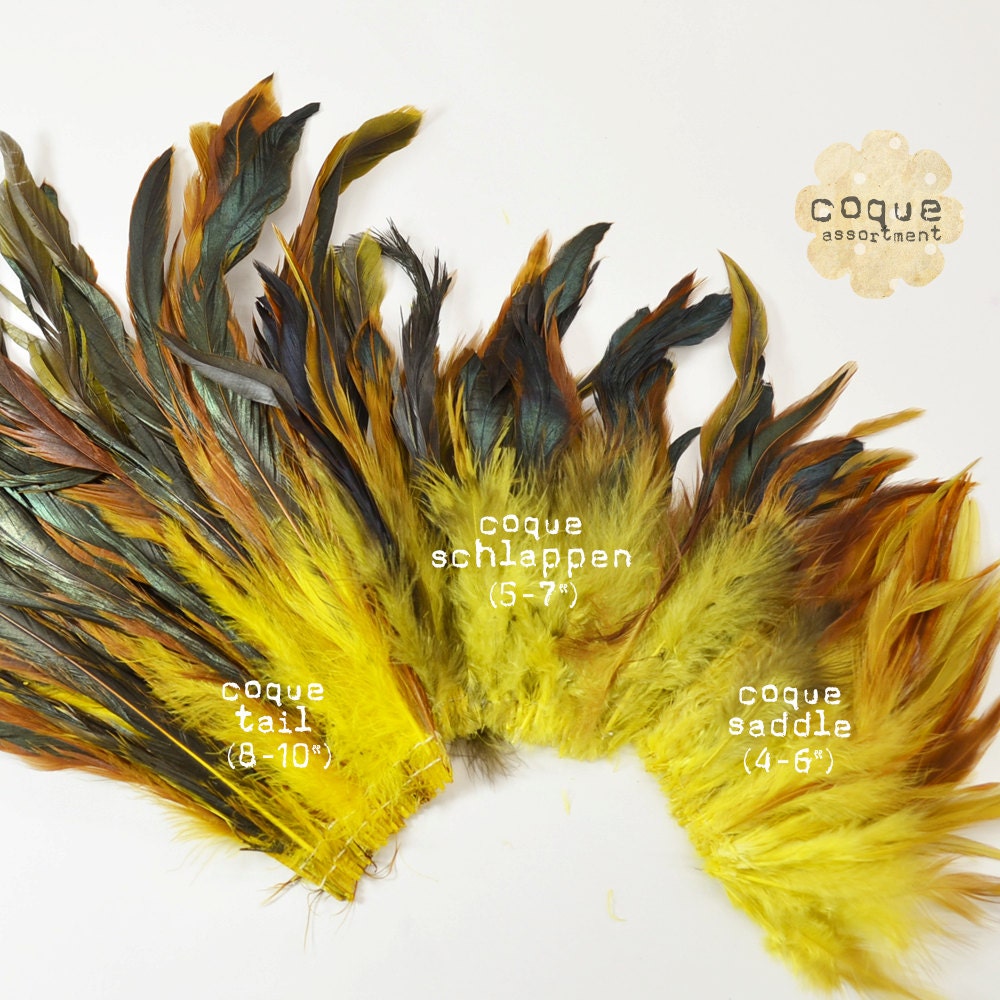 120pcs+- Rooster Coque Feathers Assortment, Sadle, Schlappen, and Tail ...