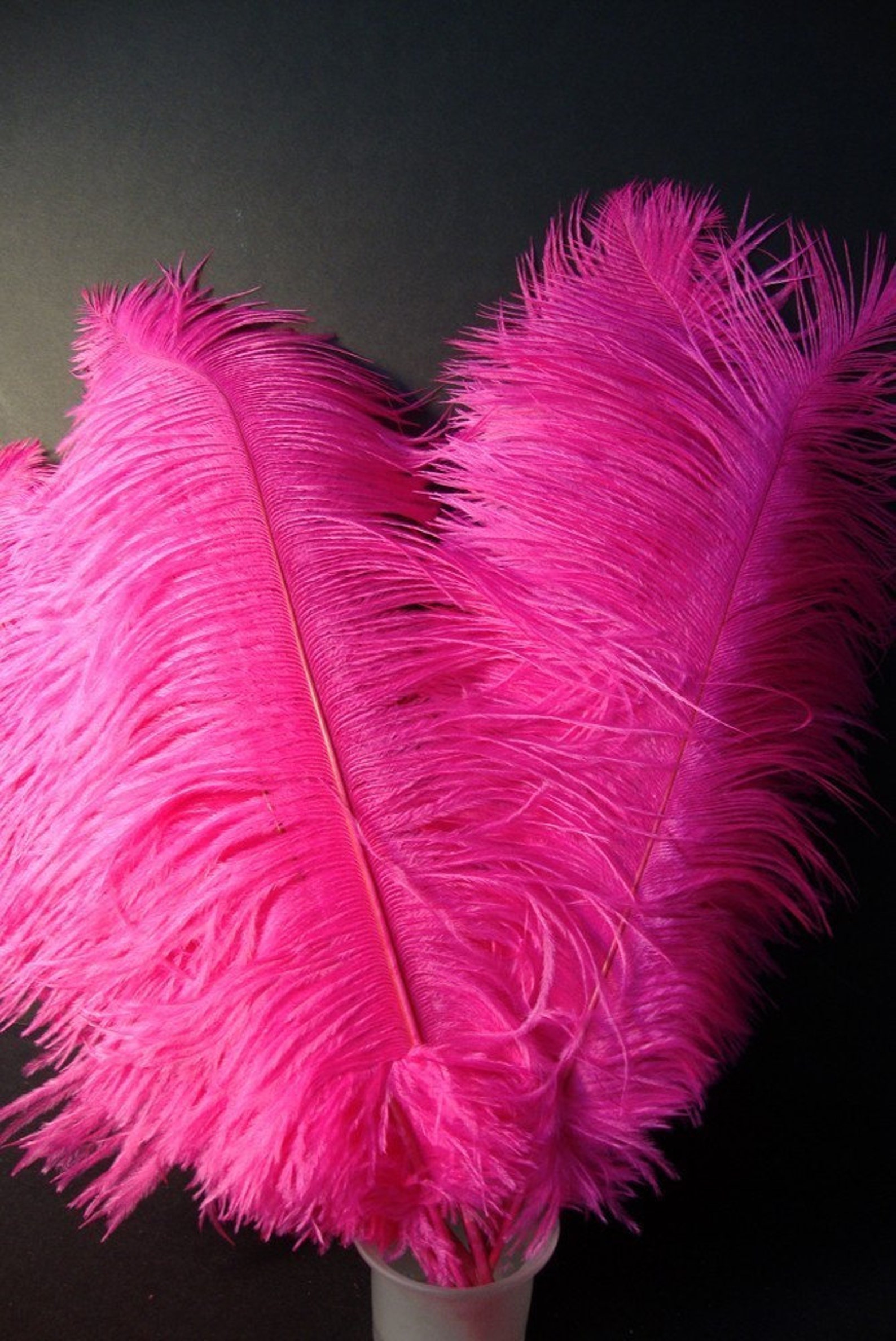 XL Hot Pink Ostrich Plumes. 13-16 Inches Tall. EXCLUSIVE - Etsy