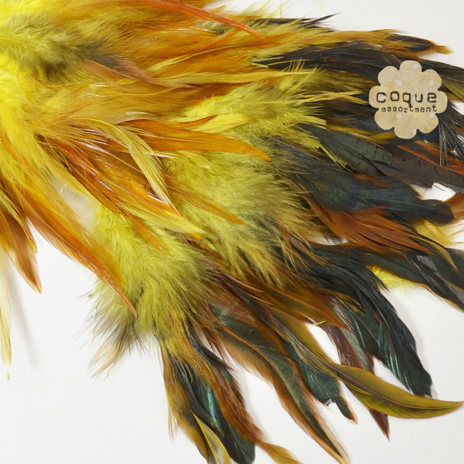 120pcs+- Rooster Coque Feathers Assortment, Sadle, Schlappen, and Tail ...