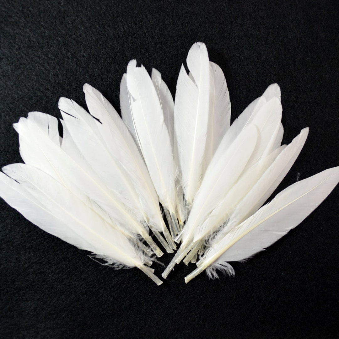 24pcs Small Duck Quills, Stiff Loose Feathers-white - Etsy