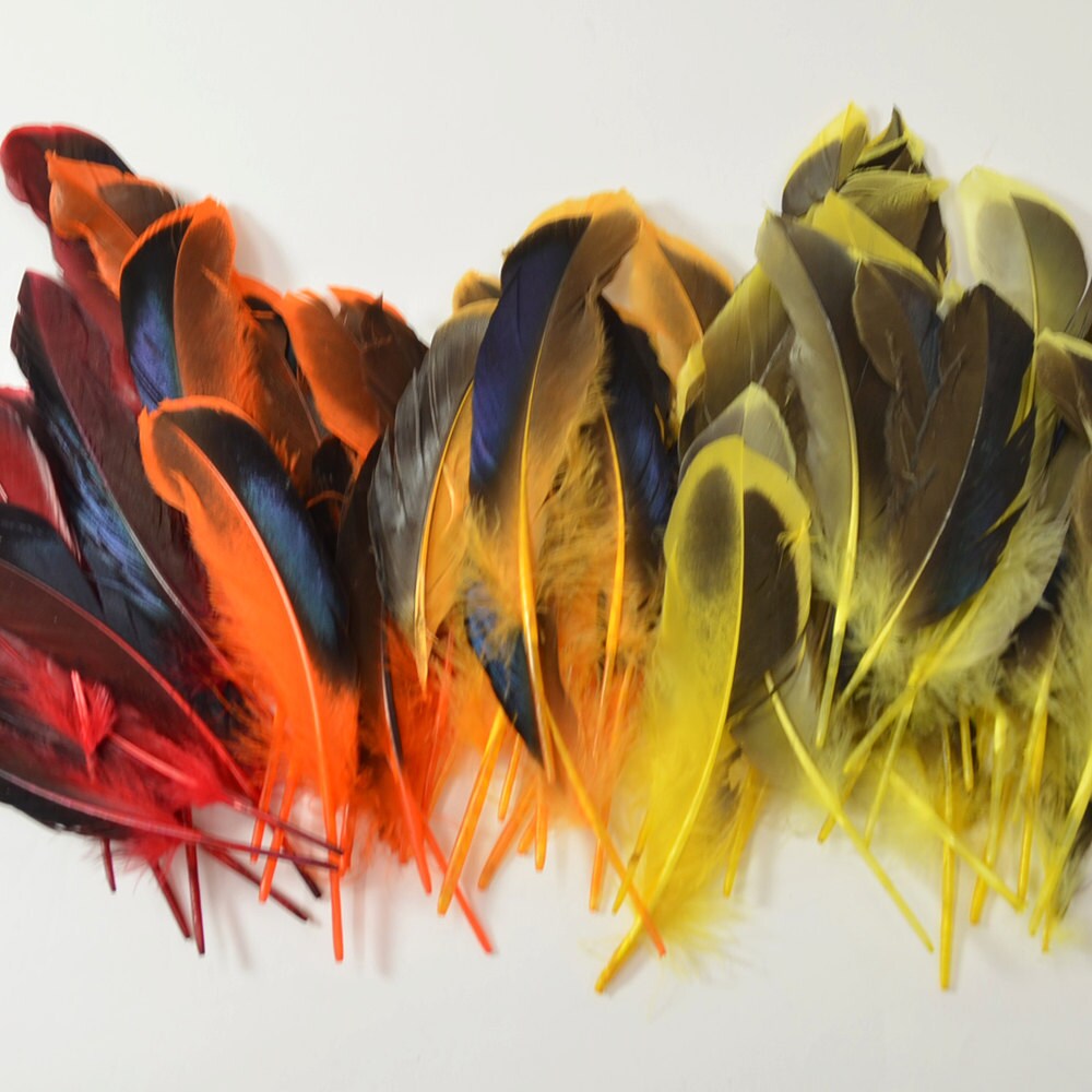 Mallard Feathers, Iridescent Green Wing - Fire Mix (40pcs) : MMIX002 #1 ...