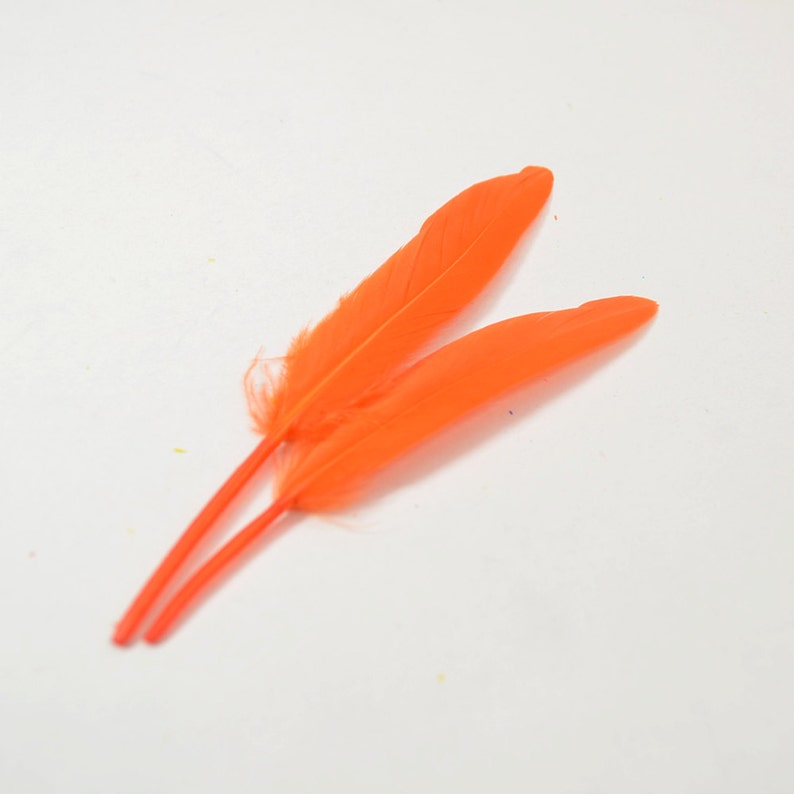 24pcs Small Duck Quills Stiff Loose Feathers-orange - Etsy