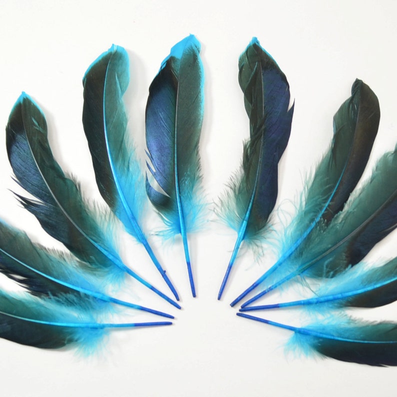 Mallard Feathers Iridescent Green Wing Malibu Teal 10pcs | Etsy