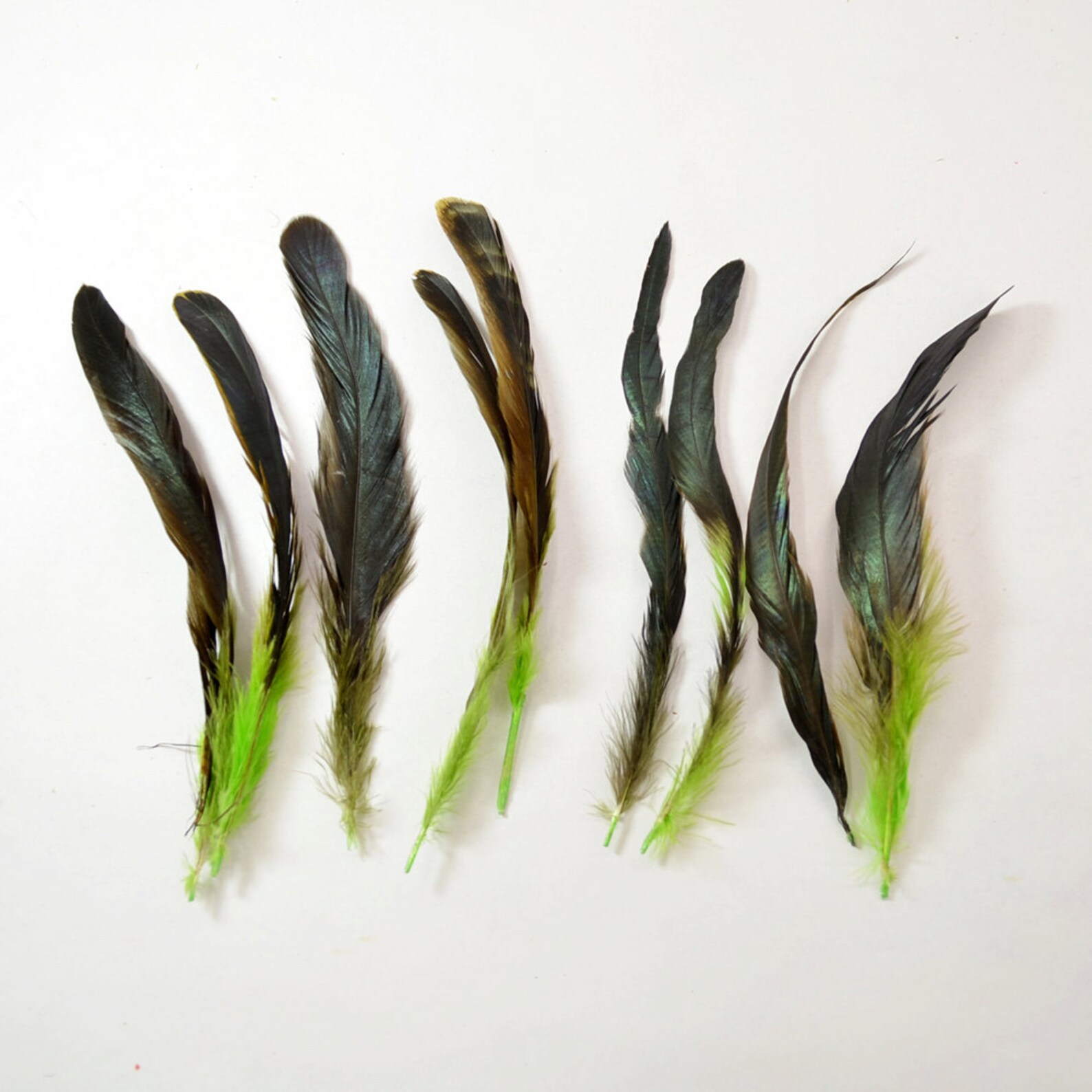 25-30pcs Bronze Rooster queue plumes-demi-lime, 6-8 "tall - Etsy France