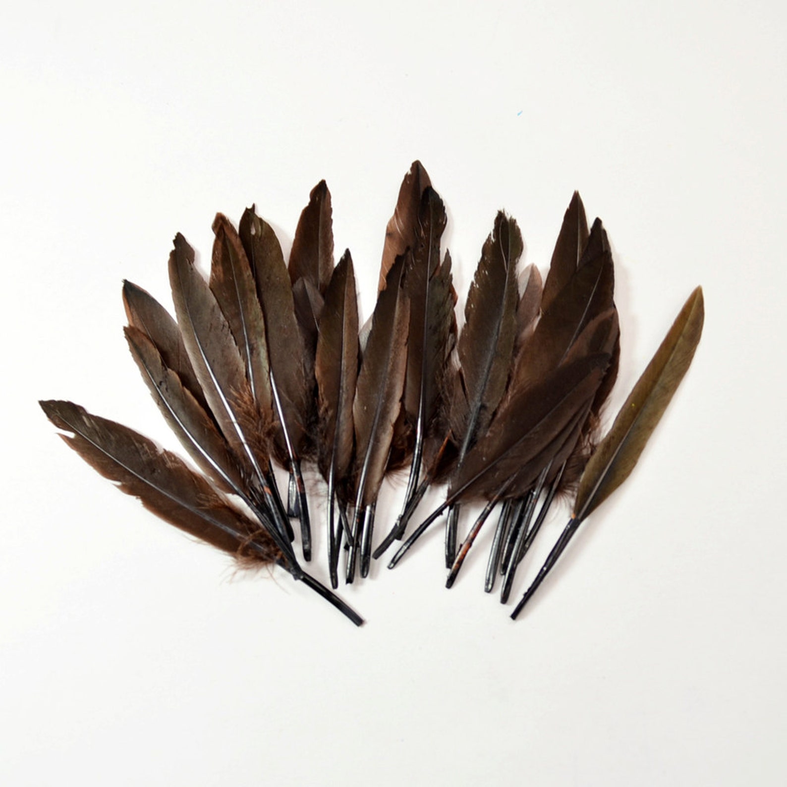 24pcs Small Duck Quills Stiff Loose Feathers-dark Brown | Etsy