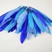 50 Pcs+ - Rooster Saddle Feathers - 2 Inch Strip - Two-tone, Pointy Tip ...