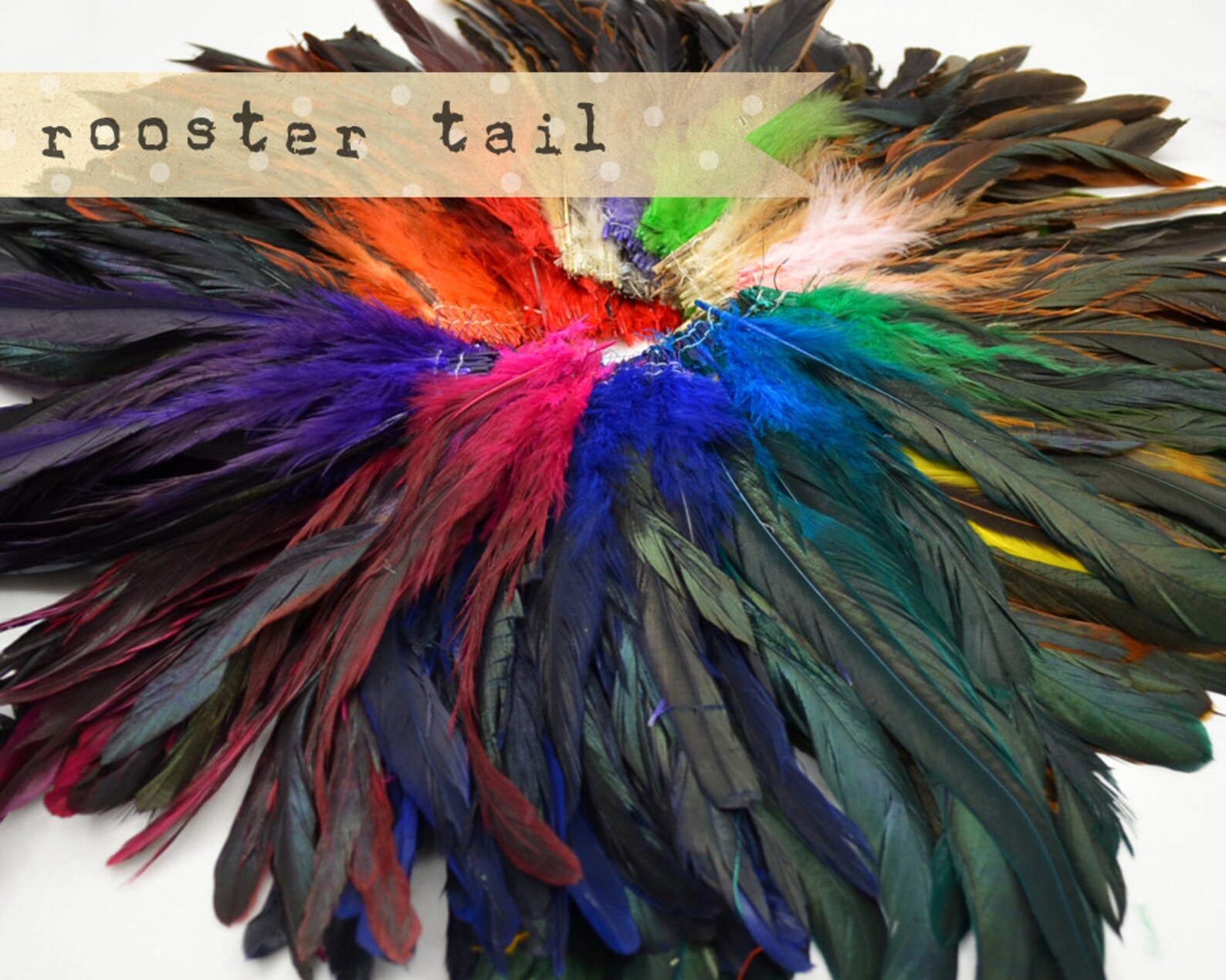 25-30 Pcs - Rooster Tail, Naturally Dyed, Unbleached, 6-8 Inches Tall ...