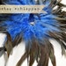 BLUE Half Bronze - Rooster Schlappen, Naturally Dyed, Unbleached, 5-7 ...