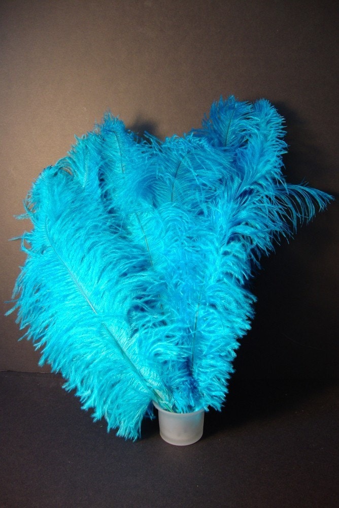 XL Turquoise Ostrich Plumes. 13-16 Inches Tall. EXCLUSIVE QUALITY. - Etsy