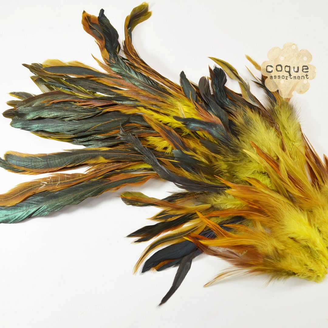 120pcs+- Rooster Coque Feathers Assortment, Sadle, Schlappen, and Tail ...