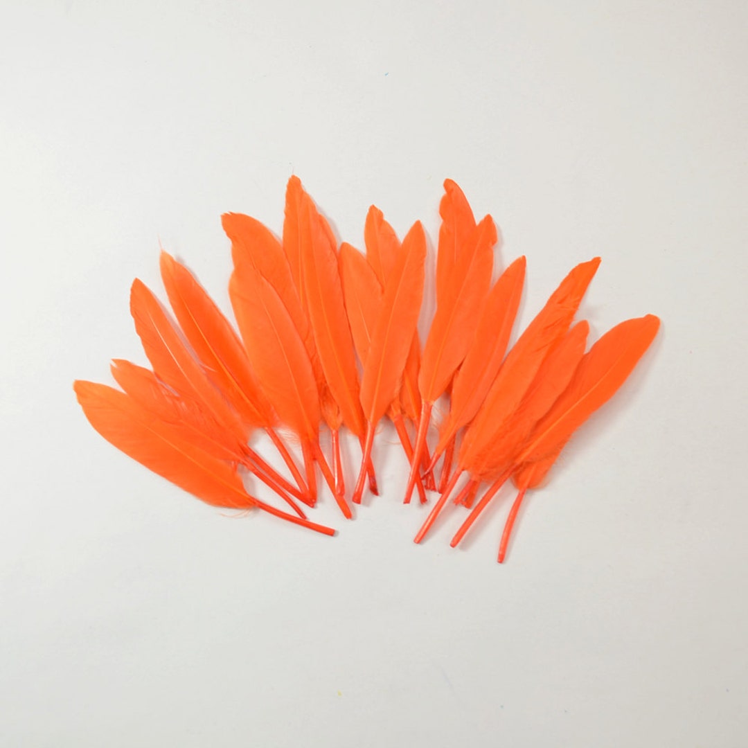 24pcs Small Duck Quills, Stiff Loose Feathers-orange - Etsy
