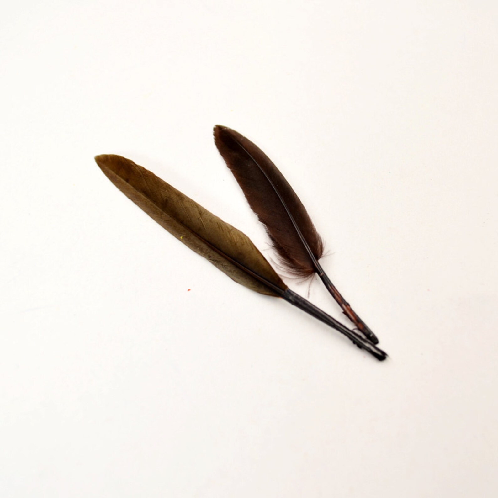 24pcs Small Duck Quills Stiff Loose Feathers-dark Brown - Etsy