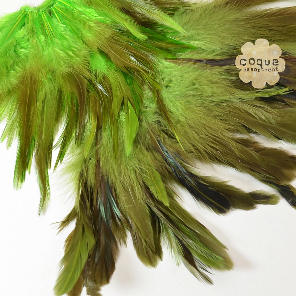 120pcs+- Rooster Coque Feathers Assortment, Sadle, Schlappen, and Tail ...