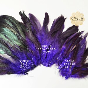 120pcs+- Rooster Coque Feathers Assortment, Sadle, Schlappen, and Tail ...